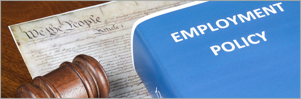 Employment Law Blog - DLD Lawyers